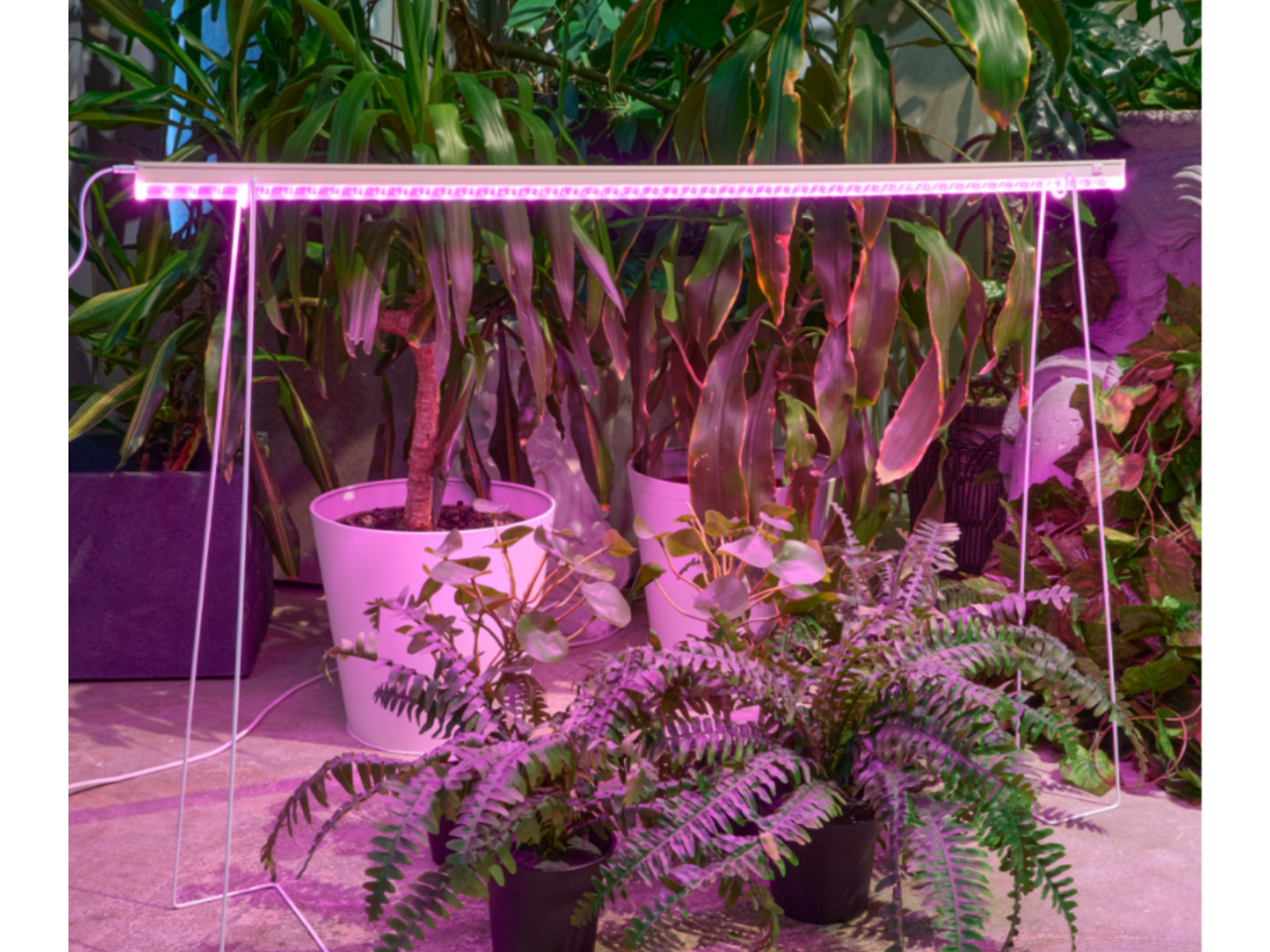 Светильник светодиодный для растений линейный 36Вт IP20 1173мм (для рассады и досвечивания в период роста)