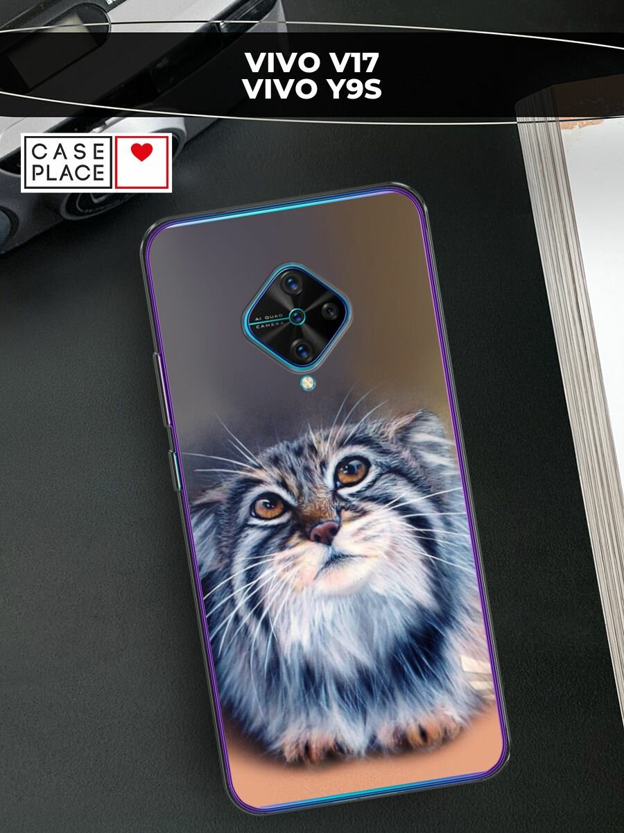 Чехол на Vivo V17/Y9s / Виво V17/Y9s с принтом "Кот манул 2"