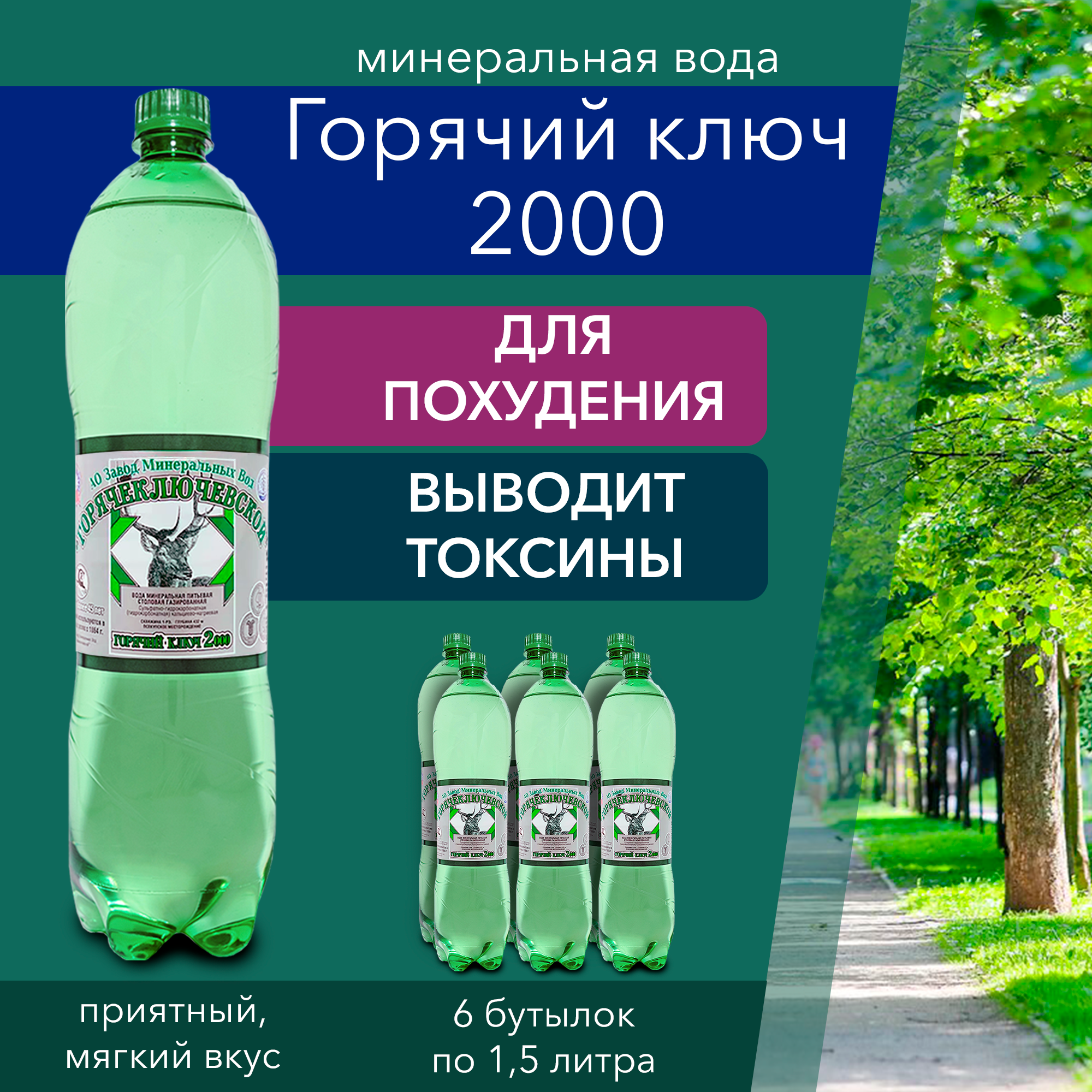 Вода Горячий Ключ 2000. Объем 1.5л*6. Вода минеральная питьевая газированная природная лечебная, выводит токсины