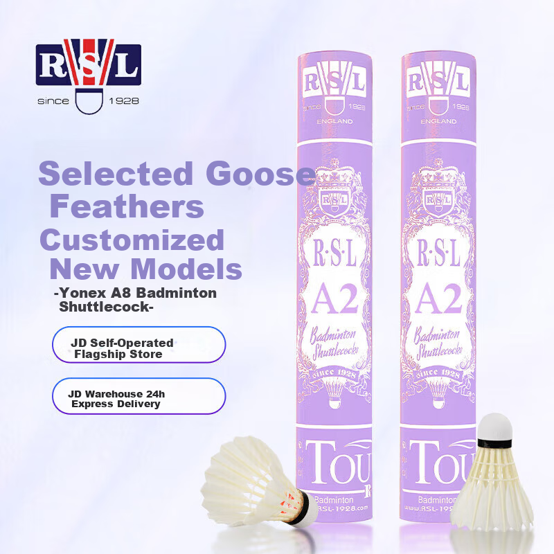 RSL standard match ball durable economic training A2 badminton