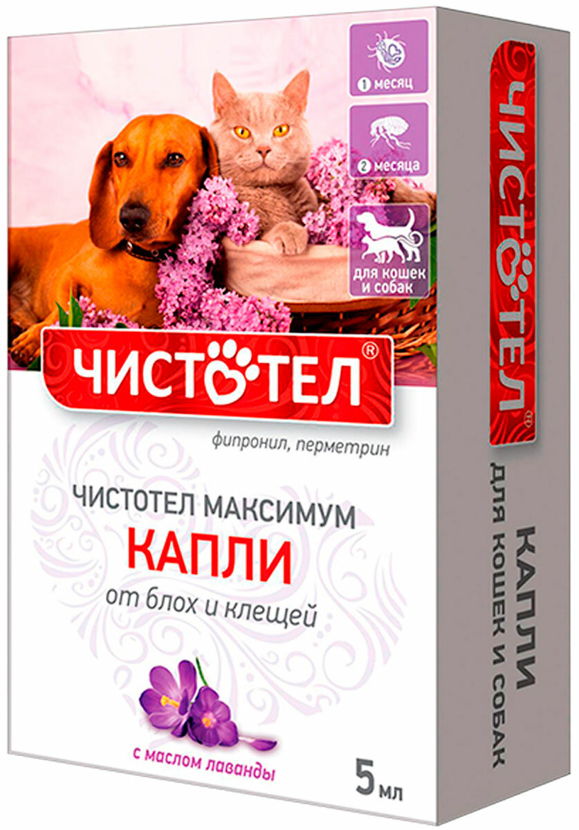 Чистотел максимум капли для собак и кошек против блох и клещей универсальные 1 пипетка по 5 мл (1 пипетка)