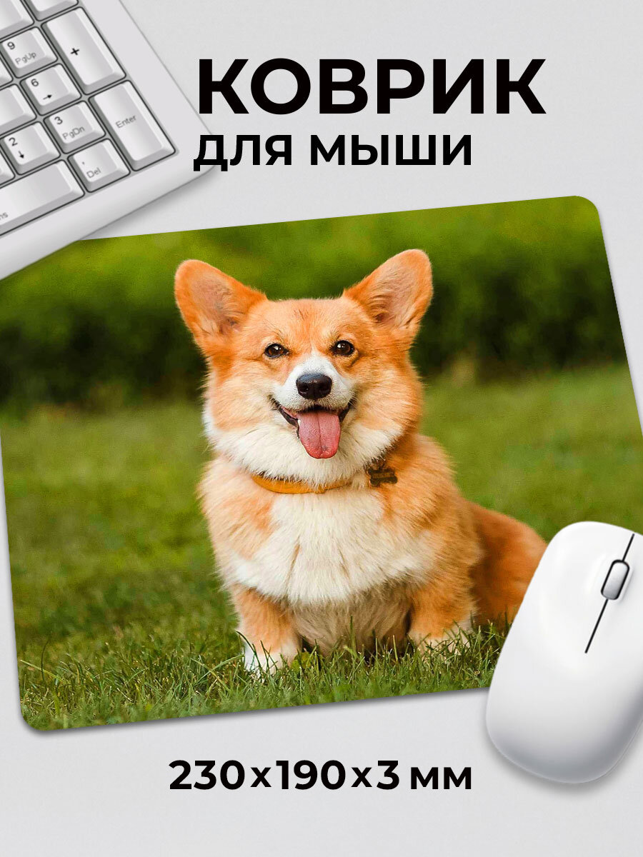 Коврик для мышки игровой маленький Собака Корги рыжий