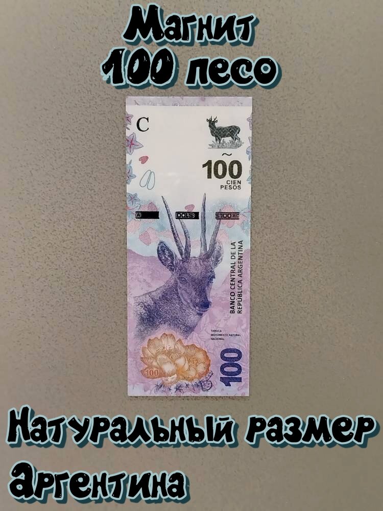 Магнит. Банкнота 100 песо, Аргентина.
