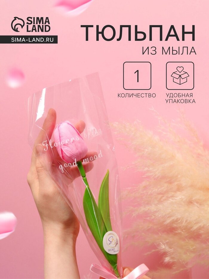 Мыльный тюльпан, розовый