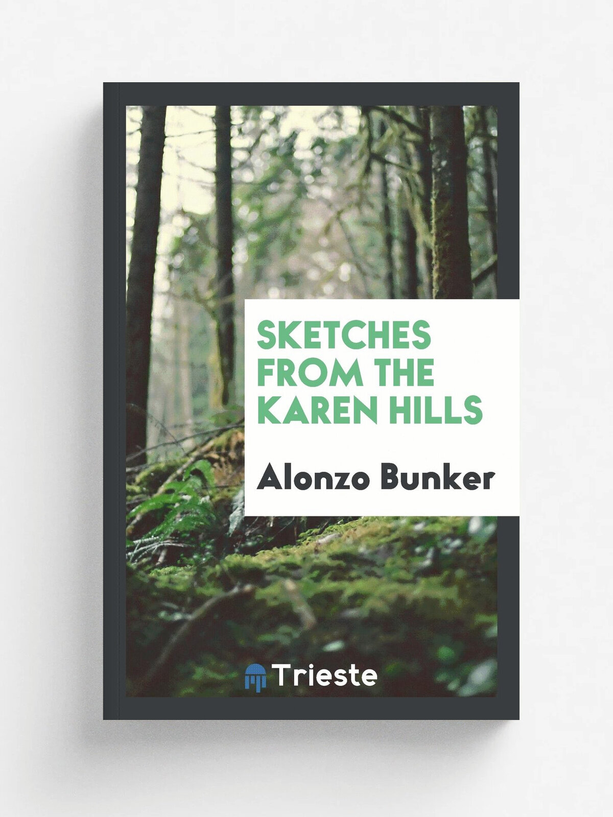 Sketches from the Karen hills