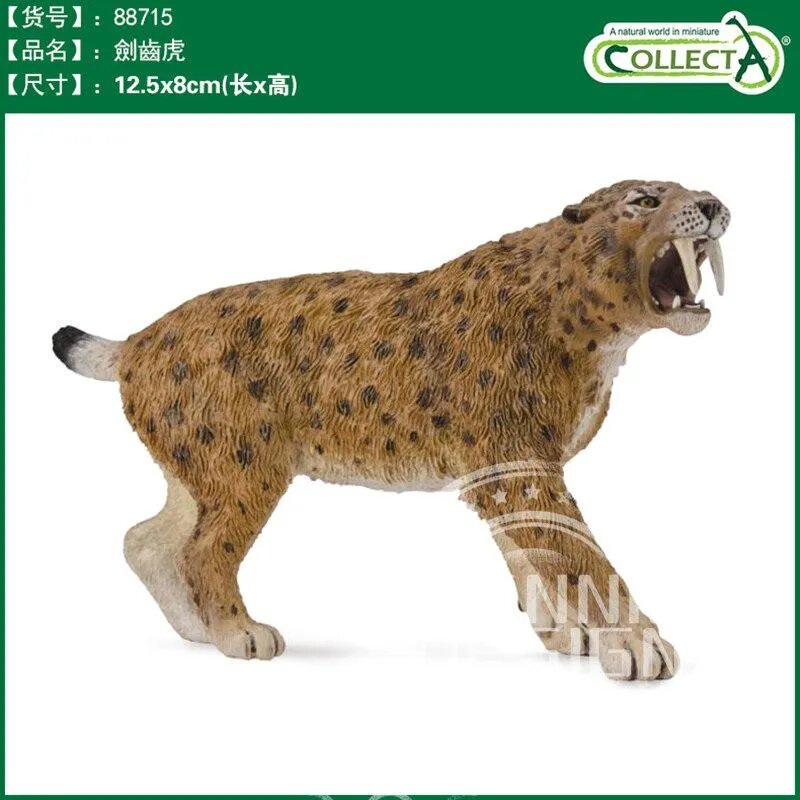 CollectA Фигурки доисторических гигантов из ПВХ, реалистичные коллекционные миниатюры (Саблезубый тигр)