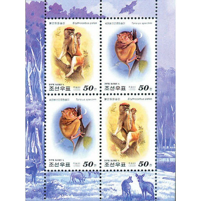 Почтовые марки Северная Корея 2000г. "Обезьяны" Обезьяны MNH