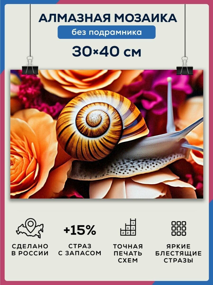 Алмазная мозаика 30x40 Улитка в цветах без подрамника