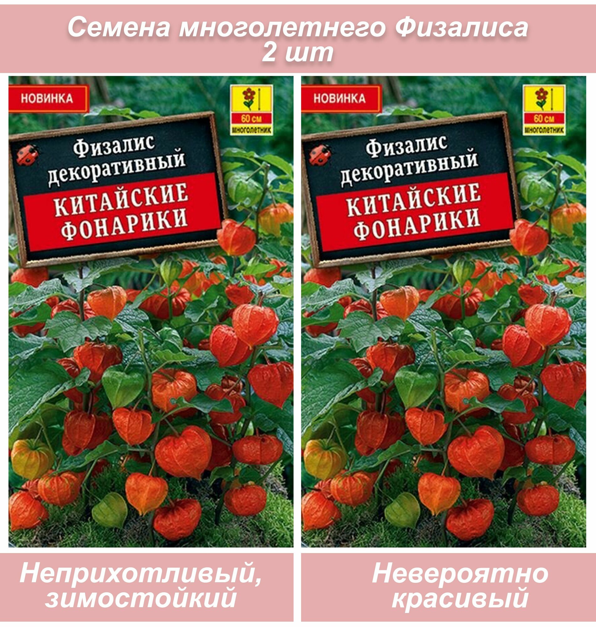 Семена физалиса Китайские фонарики