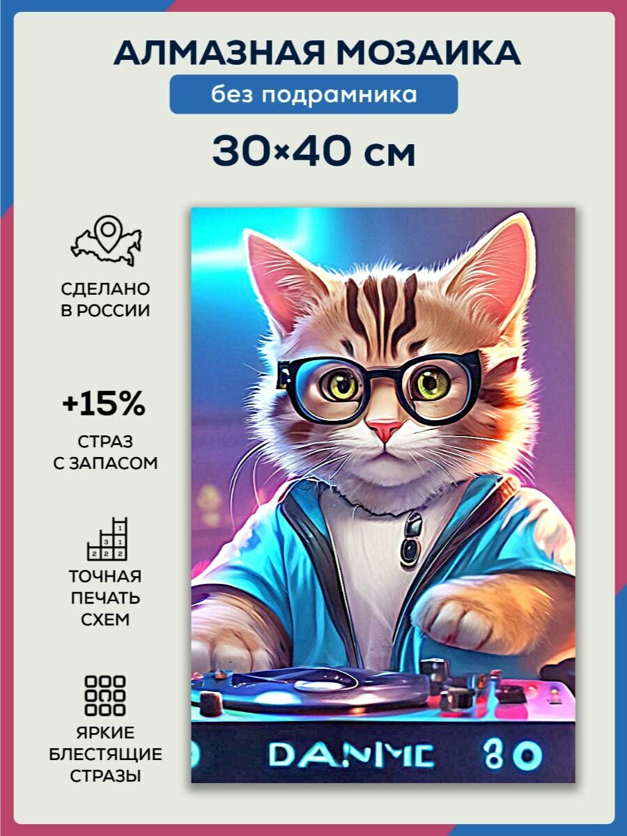 Алмазная мозаика 30x40 Кот - диджей без подрамника