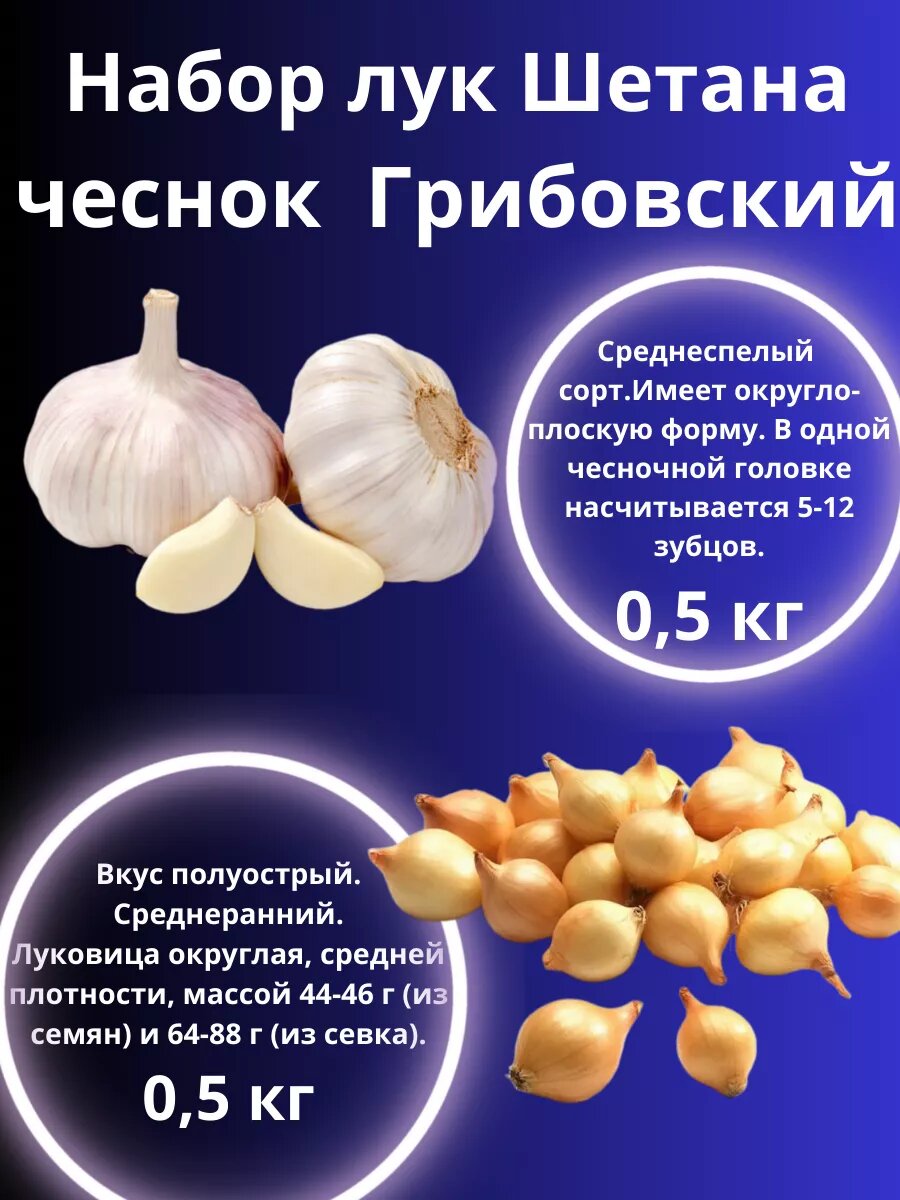 Набор лук Шетана 0.5 и чеснок Грибовский 0,5