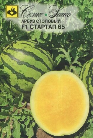 Семена арбуза "Стартап 65 F1", в пачке 5 шт - от всходов до первого сбора 60-65 дней. Растение компактное, одностебельное, с короткими боковыми побегами