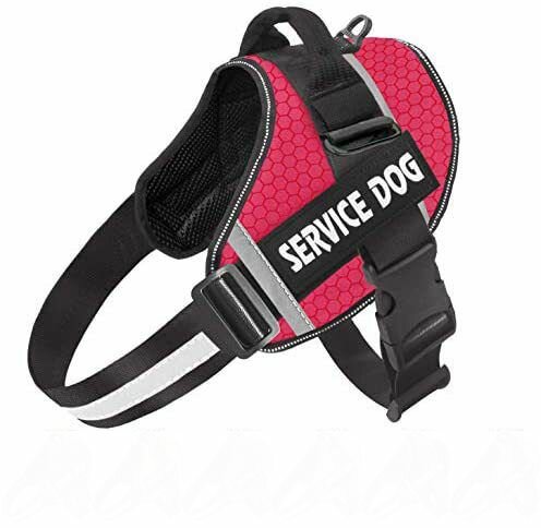 Шлейка SERVICE DOG для собак (86-118см)