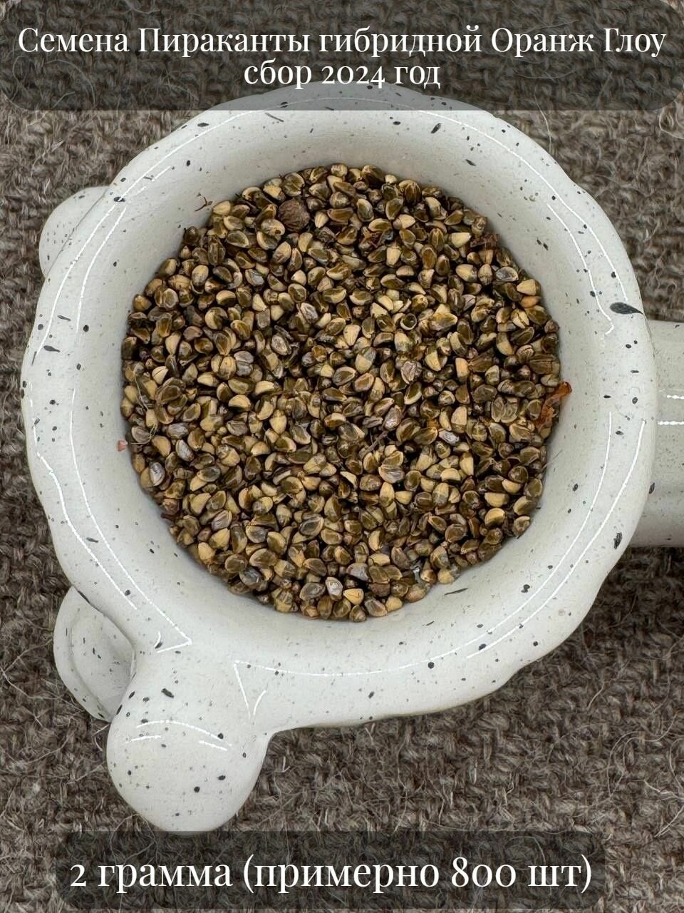 Семена Пираканты гибридной Оранж Глоу, 2 грамма ( примерно 800 шт)