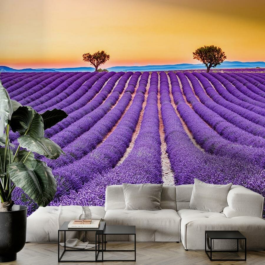 Фотообои Закат в лавандовых полях 9-1734-L-Флок 270 x 400 см (ВхШ) Бесшовные, флизелиновые, влагостойкие обои MasterFresok