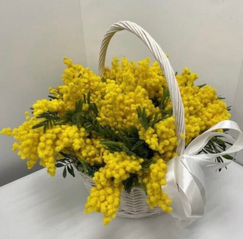 Корзинка живых цветов, мимозы"NURA FLOWERS", 25 шт, флористическая губка, жёлтая, высота 35 см