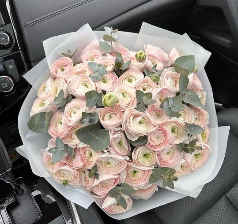 Букет живых цветов, "ранункулюсы Клуни Ханой" NURA FLOWERS, 51 цветок, высота 50 см