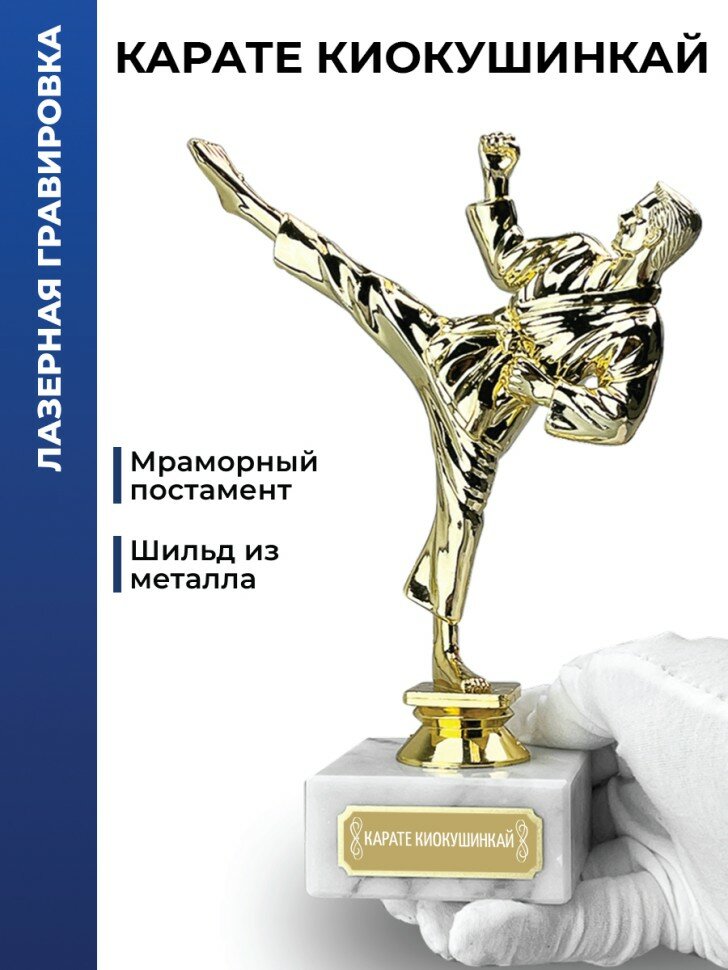 Статуэтка Карате "Карате киокушинкай" (19,5 см)
