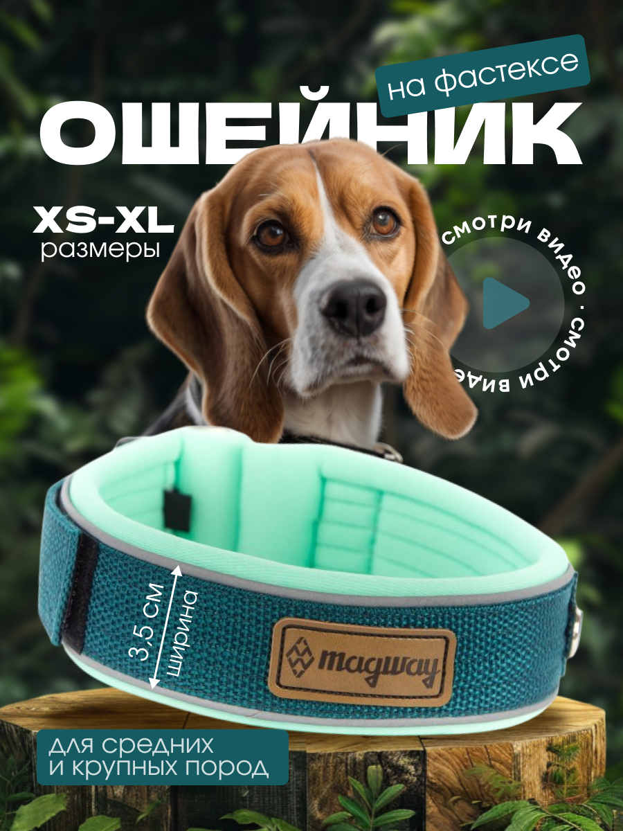 Ошейник для собак MagWay/ широкий 3,5см/ на фастексе/ размер XS/ бирюзовый