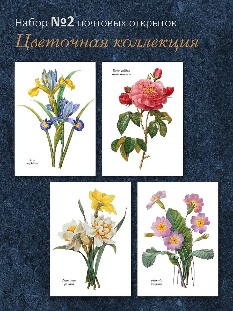 Почтовые открытки "Цветочная коллекция №2" для посткроссинга