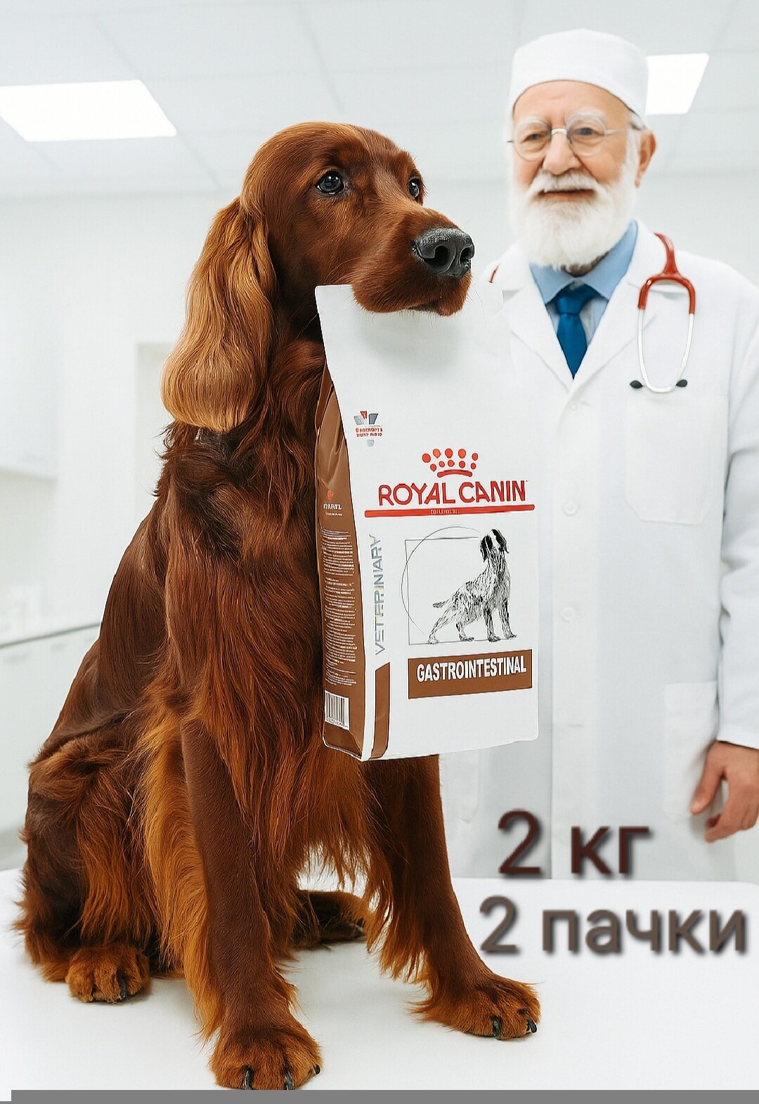 Сухой корм Royal Canin Gastrointestinal, для лечения ЖКТ у собак, 2шт по 2 кг