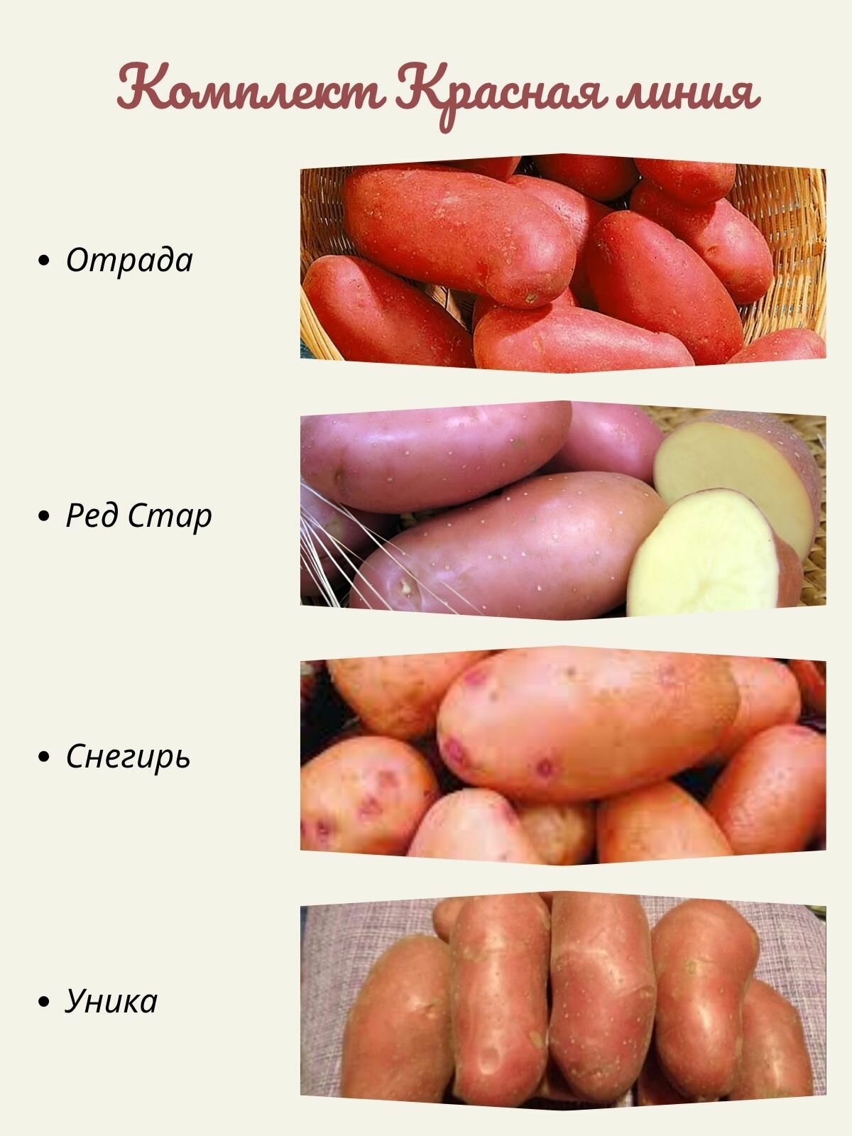 Комплект картофеля из 4 сортов "Красная линия" 2 кг
