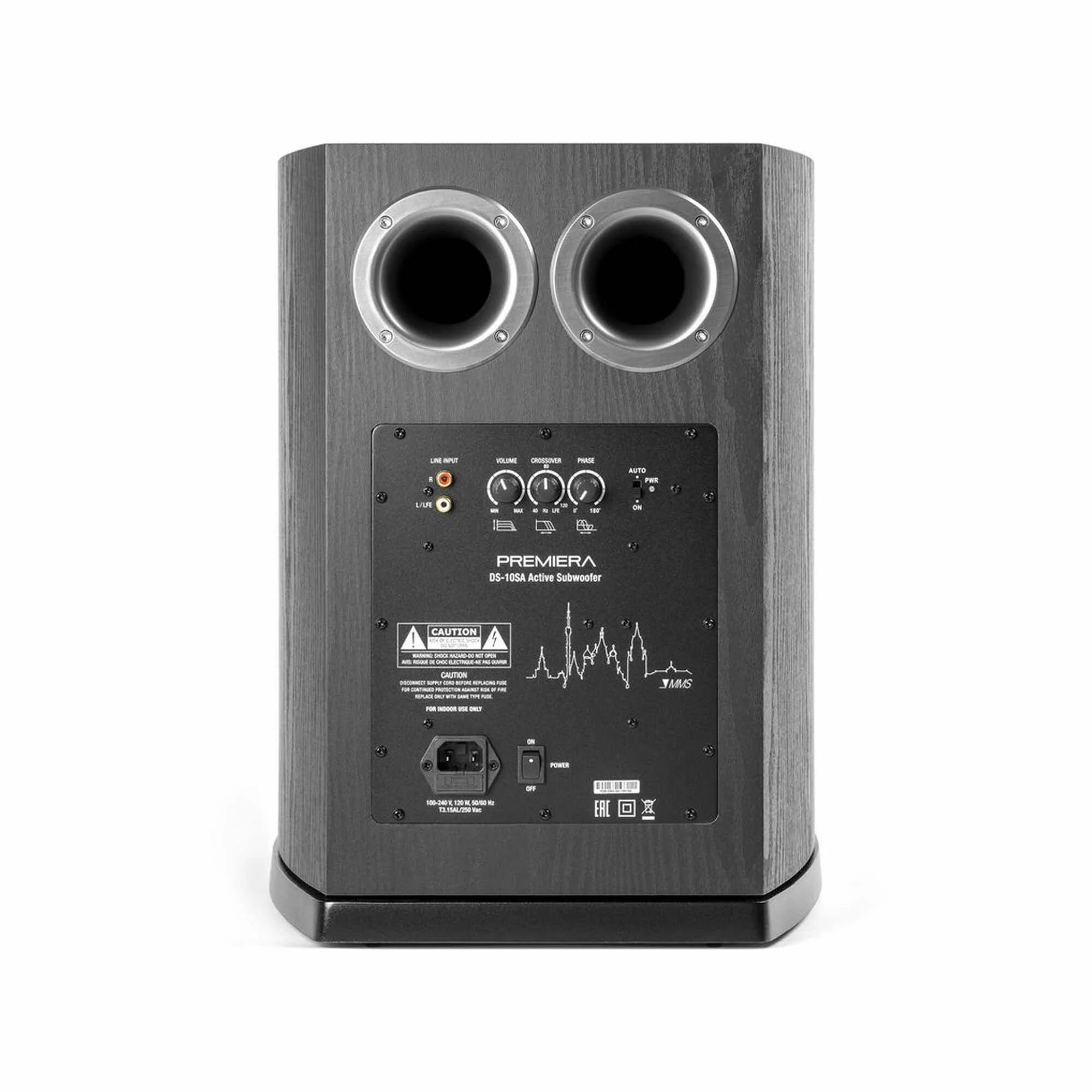Сабвуфер Premiera DS-10SA Black — фото 1