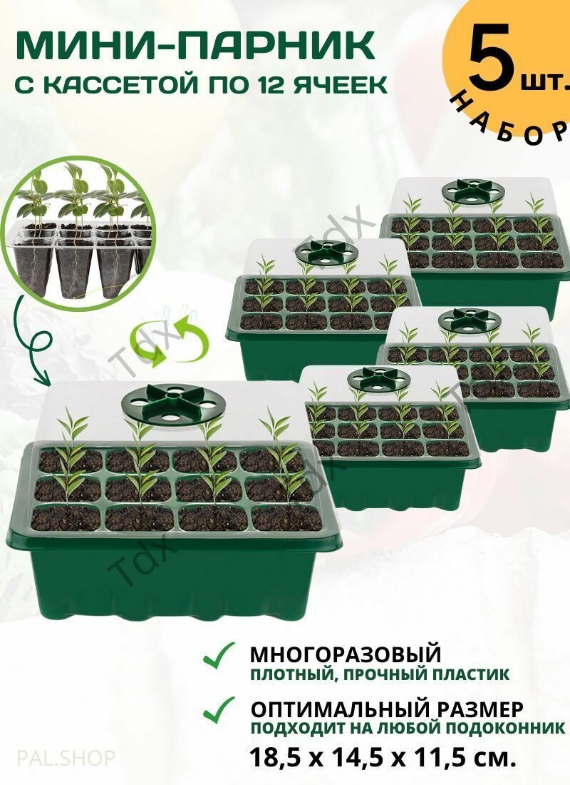 Пакеты для рассады