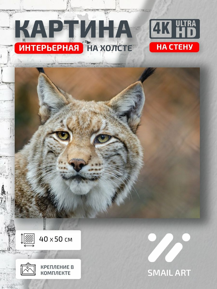 Картина на холсте интерьерная 40 на 50 на стену Шерсть Mood для гостиной атмосфера интерьер