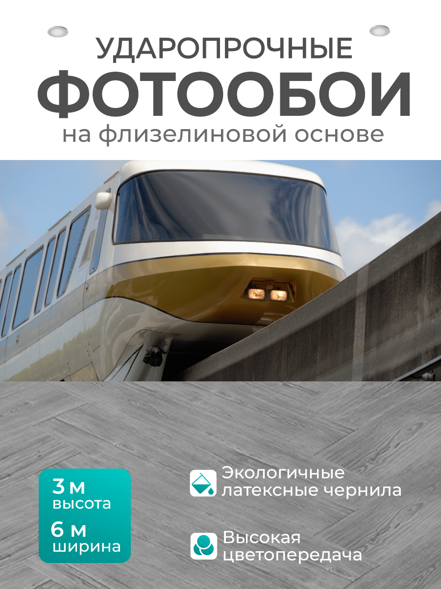 Фотообои моющиеся ударопрочные "Монорельс поезд Монорельс поезд на тематический парк Флориды монорельсовая дорога поезд треков транспорт поездка." 600x300 см. флизелиновые на стену