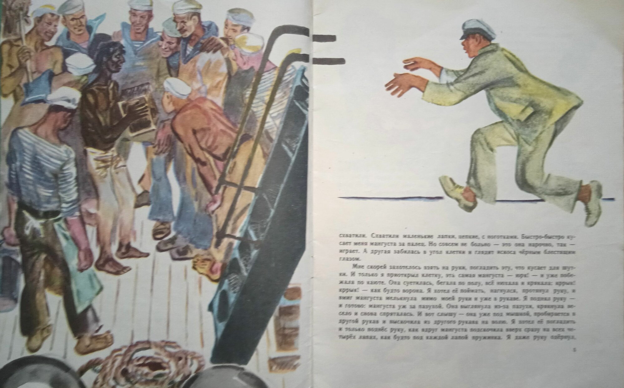 Мангуста. 1978 год — фото 1