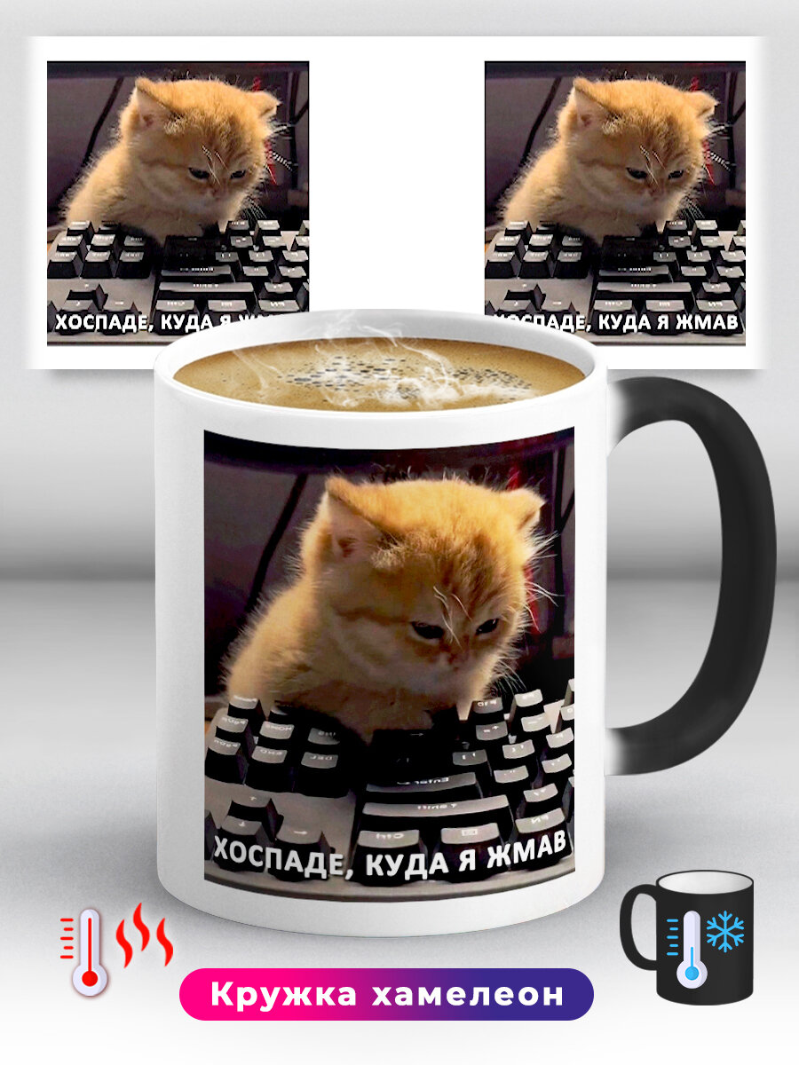 Кружка хамелеон мем прикольный милый котенок Куда я жмав