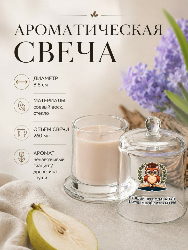 Ароматическая свеча с надписью "Лучший преподаватель зарубежной литературы"