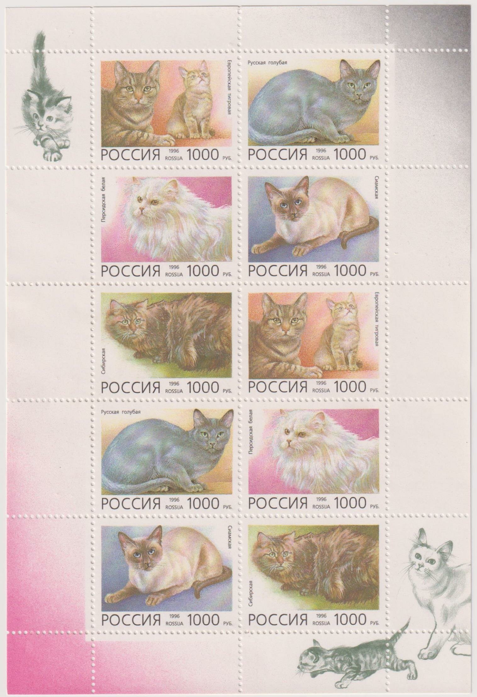 Почтовые марки Россия 1996г. "Домашние кошки" Кошки, Домашние кошки MNH