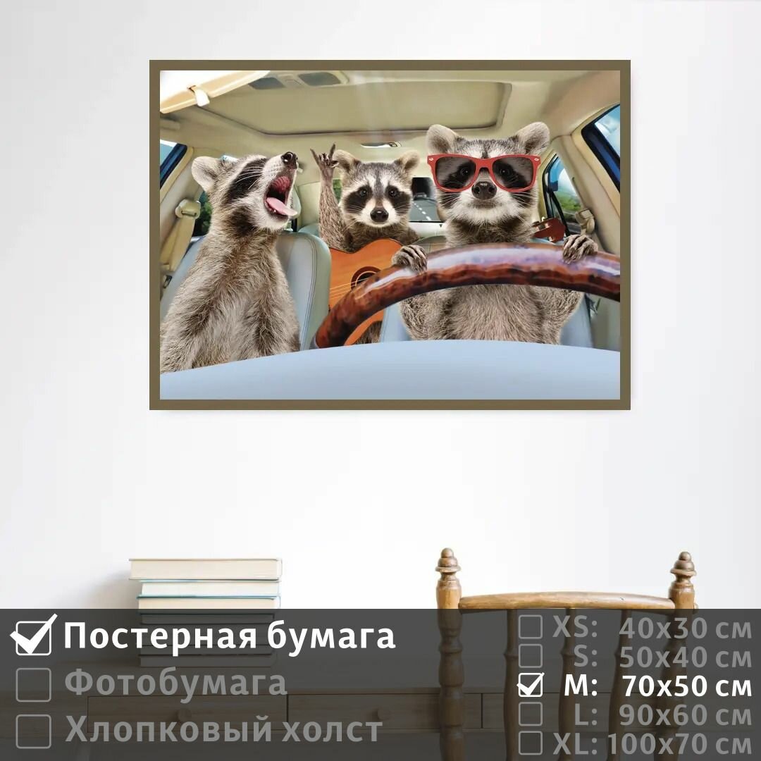 Постер на стену Поющие Забавные Еноты 70х50 см ПолиЦентр