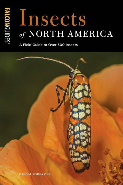 Phillips David M. PhD "Insects of North America: A Field Guide"