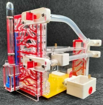 Муравьиная ферма