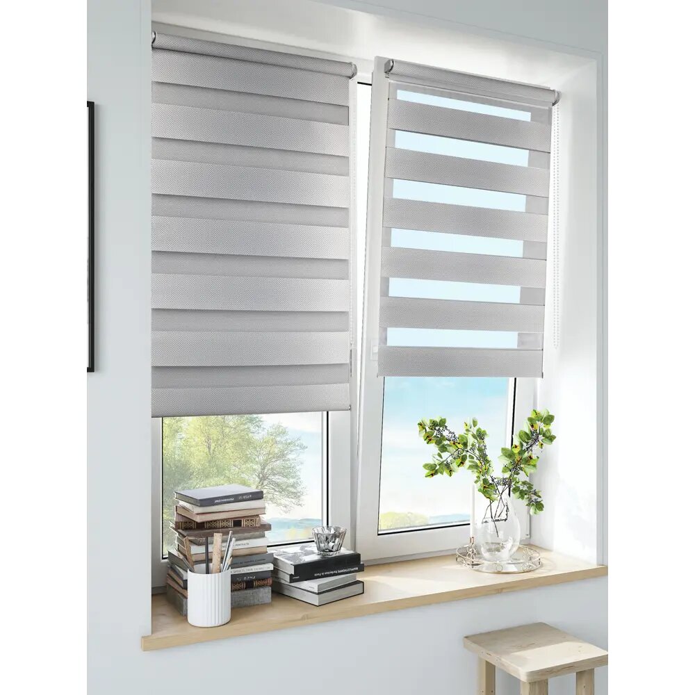 Штора рулонная день-ночь Inspire Siberia 50x175 см светло-серая