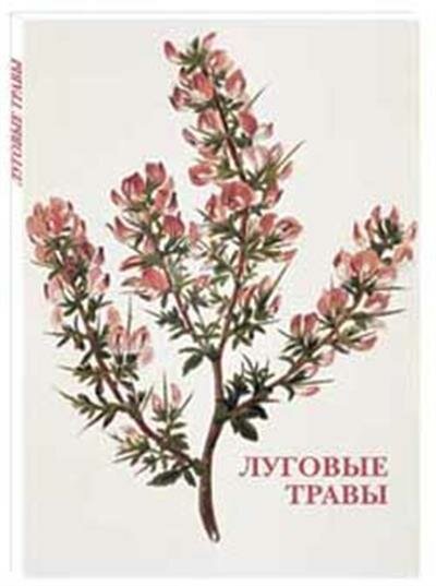 Луговые травы