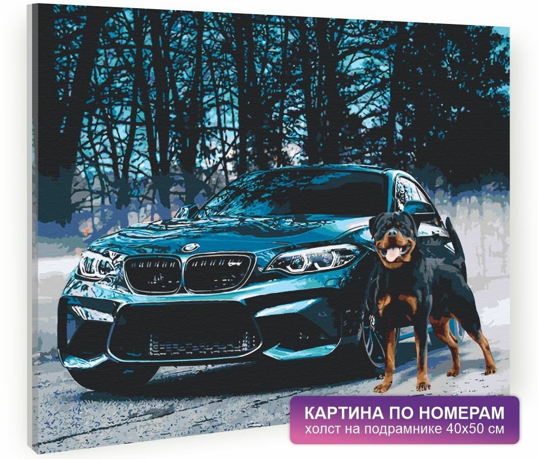 Картина по номерам на холсте с подрамником 40х50 см. Природа, животные, рыбы, птицы. Собаки, щенки. "BMW и ротвейлер", арт. 4311/