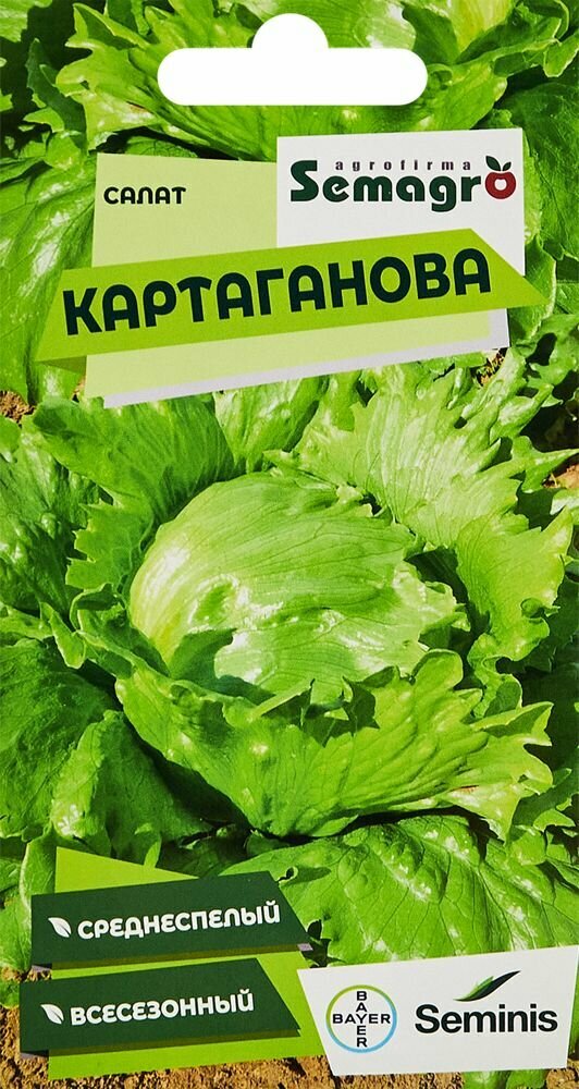 Семена салат Картаганова