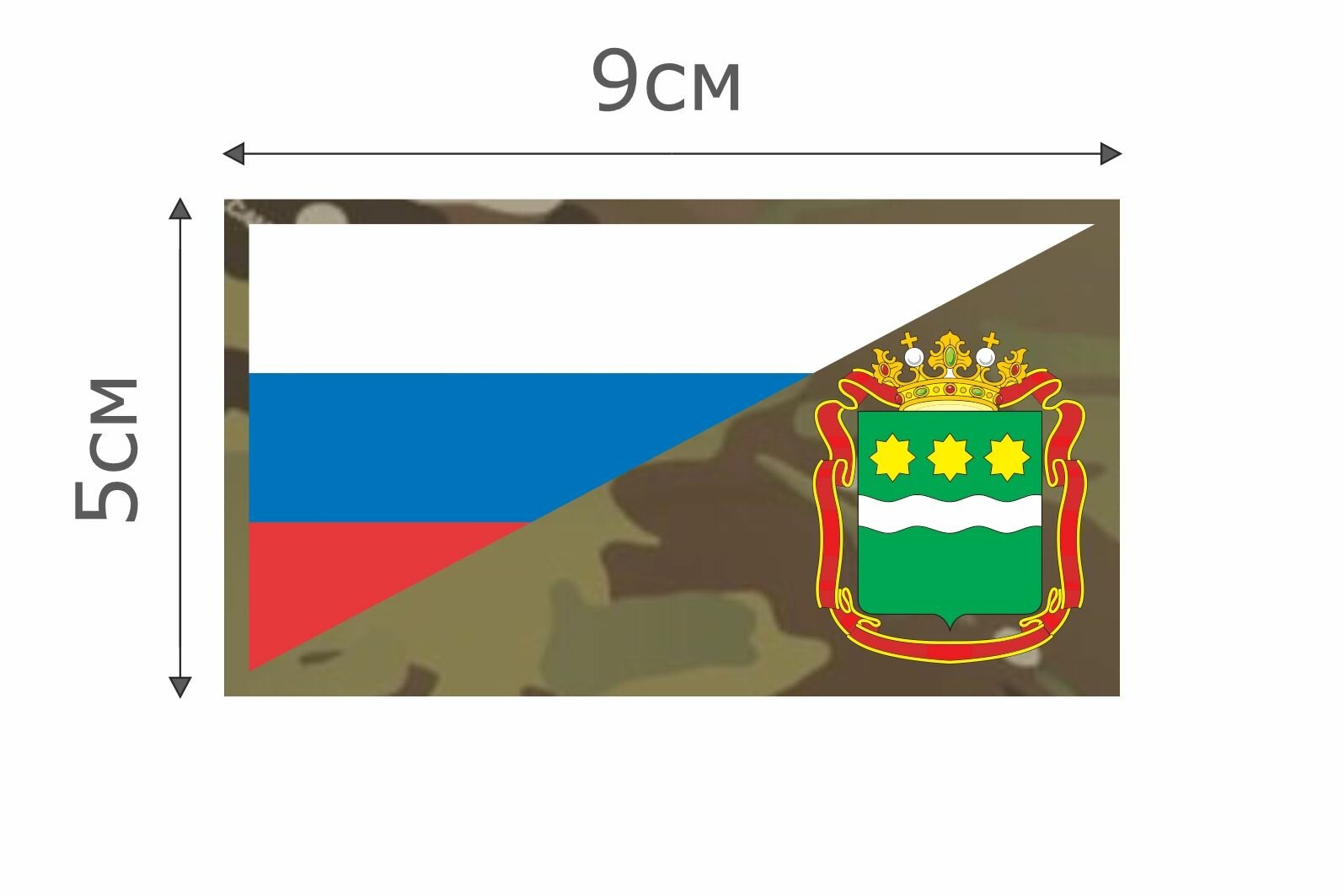 Ф028MC Нашивка , патч (шеврон) MC Флаг РФ Амурская область 5*9 см