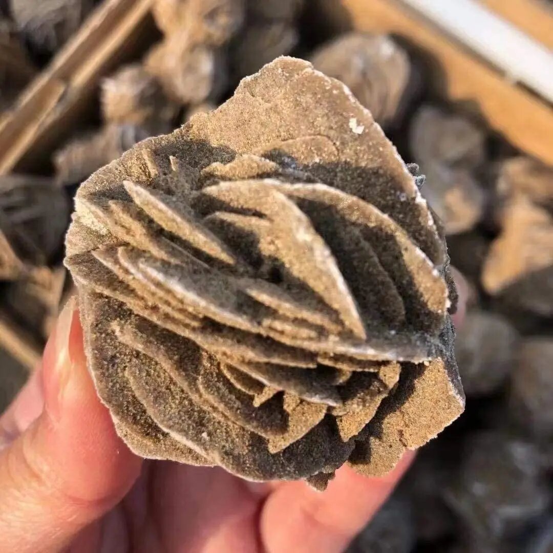 Кристалл-роза пустыни из натурального камня