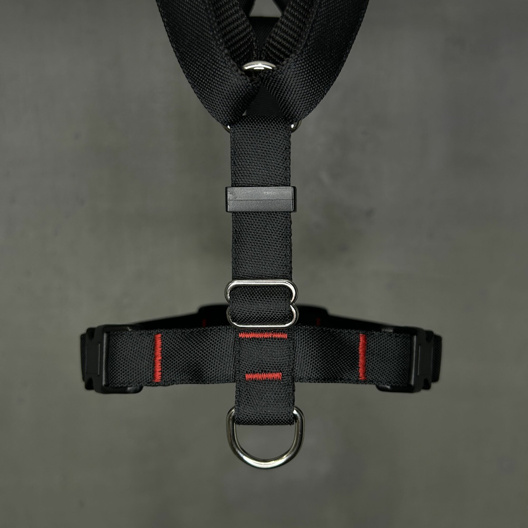 Анатомическая шлейка BIGLINI размер XS для собаки любой породы Y-образной формы идеальный подарок рекомендованный кинологами и ветеринарами