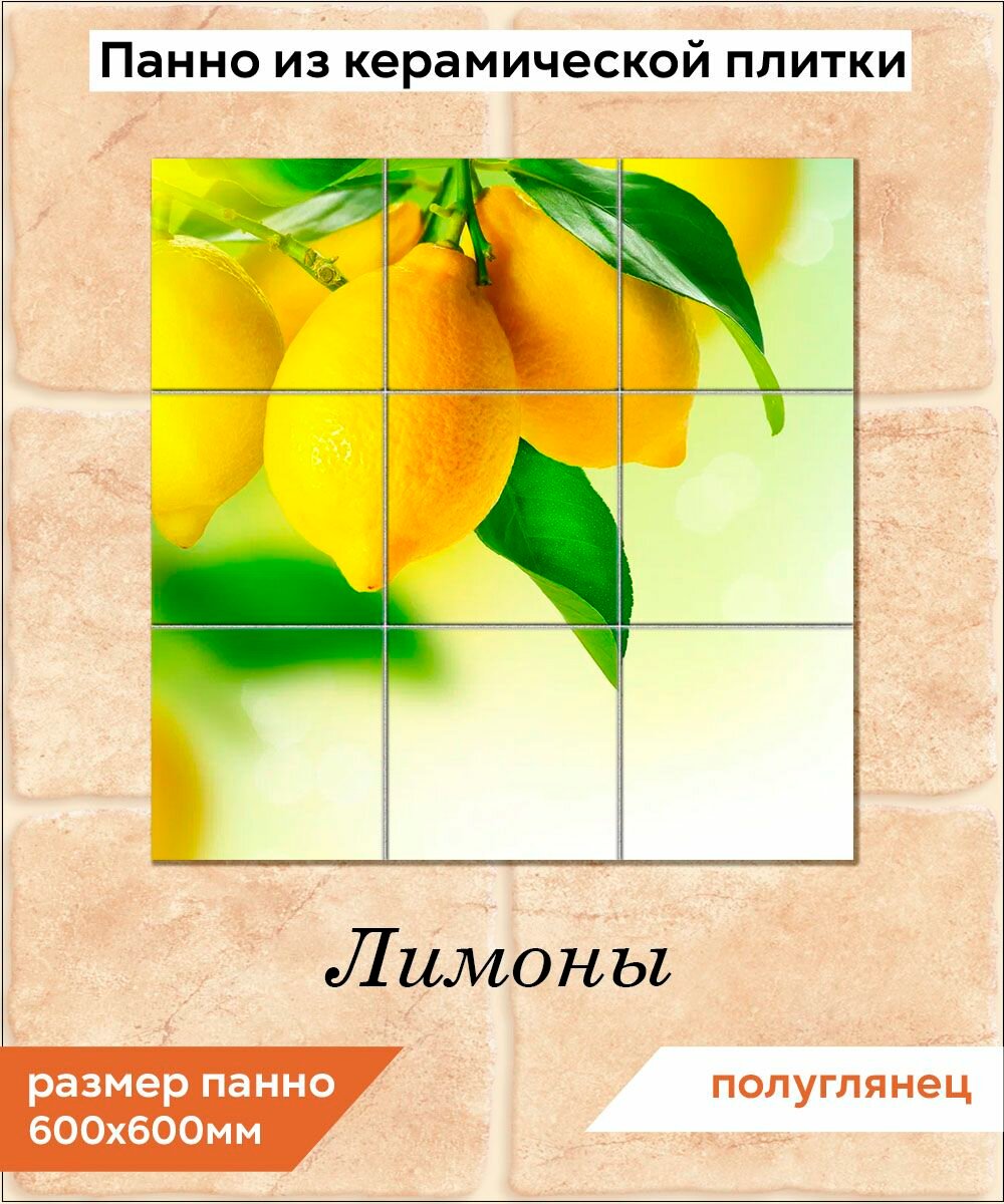 Панно из плитки Fres-co "Лимоны", керамическое, декоративное, полуглянцевое, 60x60 см
