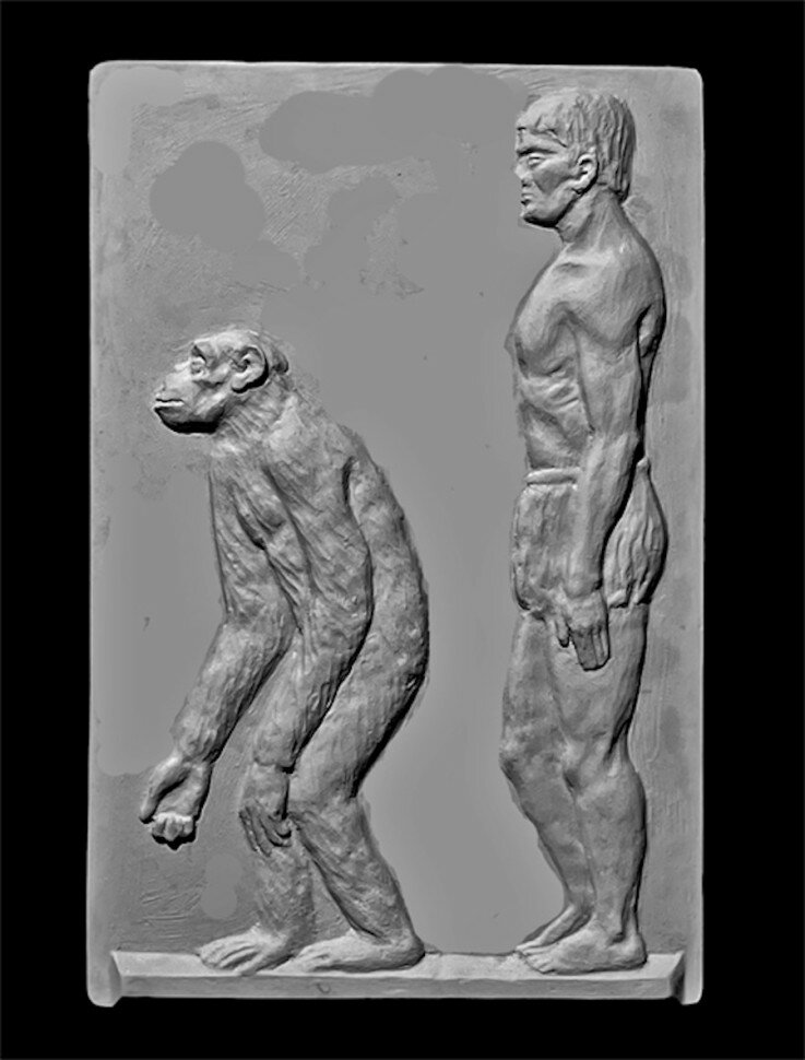 Гипс. Орнамент Шимпанзе и Человек , h= 44 см, Экорше, артикул 80-855