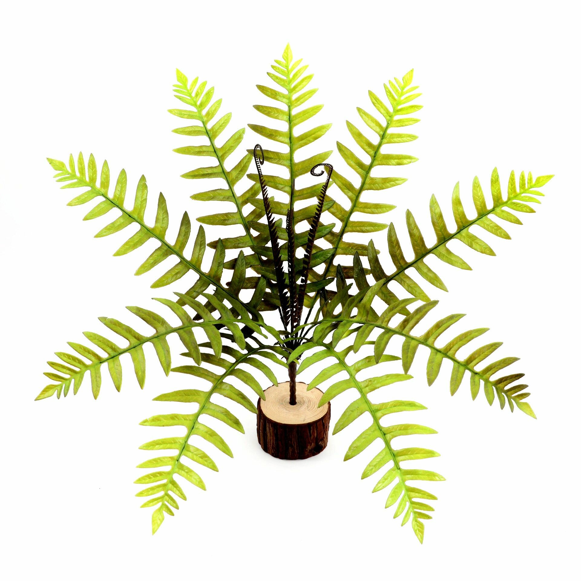 Папоротник декоративный (ботаническая копия) диаметром 55 см, набор из 2 штук
