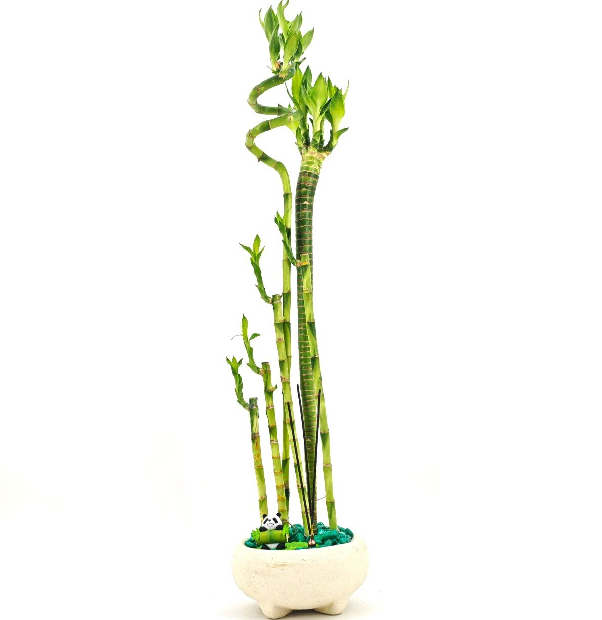 Композиция бамбук в кашпо бонсайница с декоративной фигуркой панда. "Счастливый Бамбук" - Drасаеnа Luсky Ваmbоо