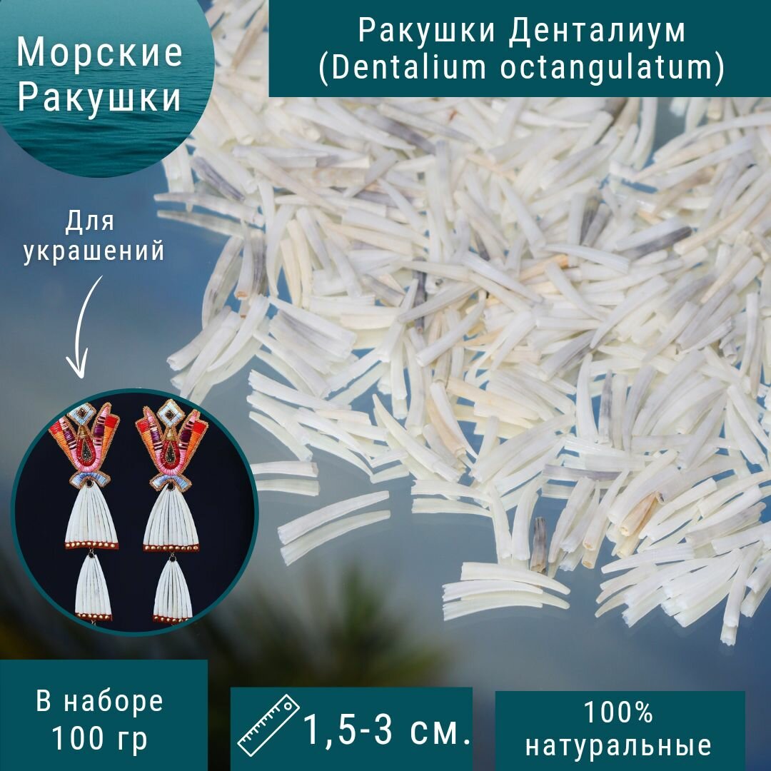 Ракушки Денталиум, с отверстием, 100 г, бежево-сероватые, 1.5-3 см