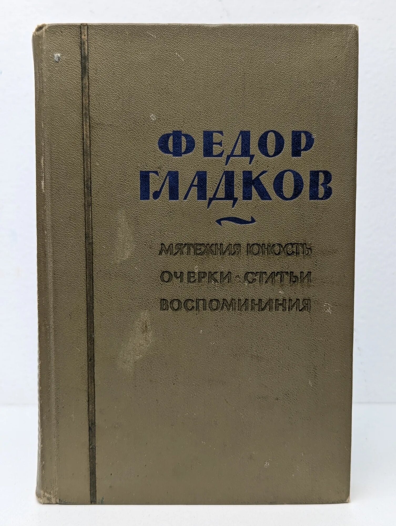 Мятежная юность. Очерки. Статьи. Воспоминания Гладков Федор Васильевич 1961